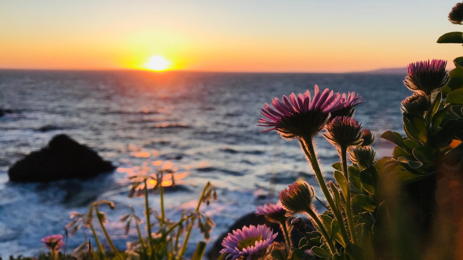 AudioFile Magazine - 5 Audiobooks Celebrating the Wonders of the ...