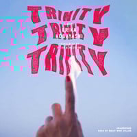 TRINITY TRINITY TRINITY by Erika Kobayashi Brian Bergstrom Trans ...